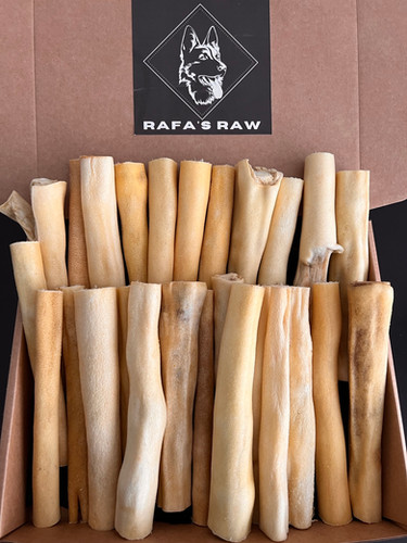 Beef Tail | Rafa’s Raw