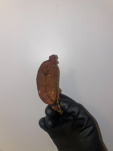 Beef Testicle | Rafa’s Raw