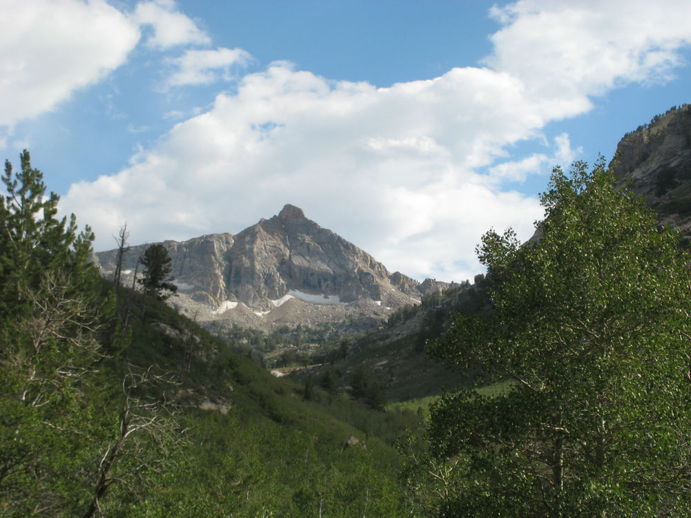 The Ruby Mountains