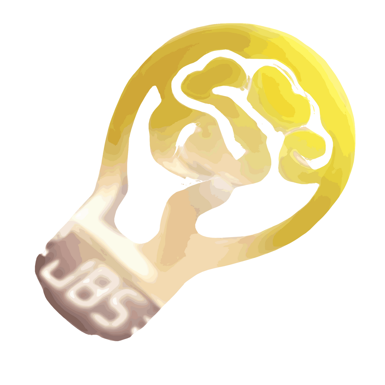 About | Jbrain Solutions