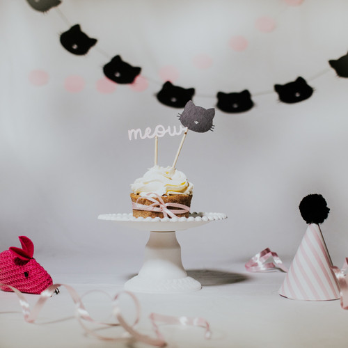 Kit Meow | Festa Animal