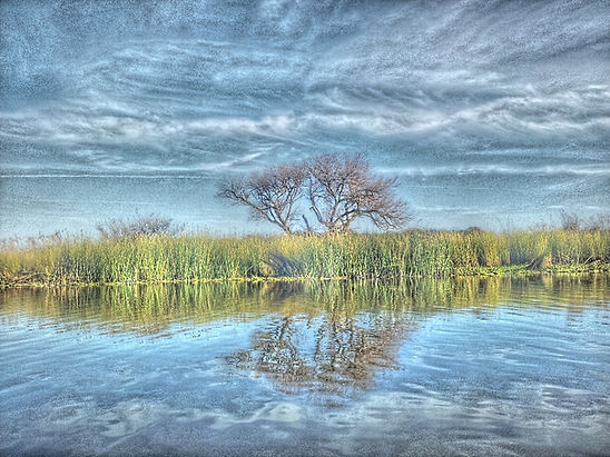 Franks Tract | deltakayakadventures