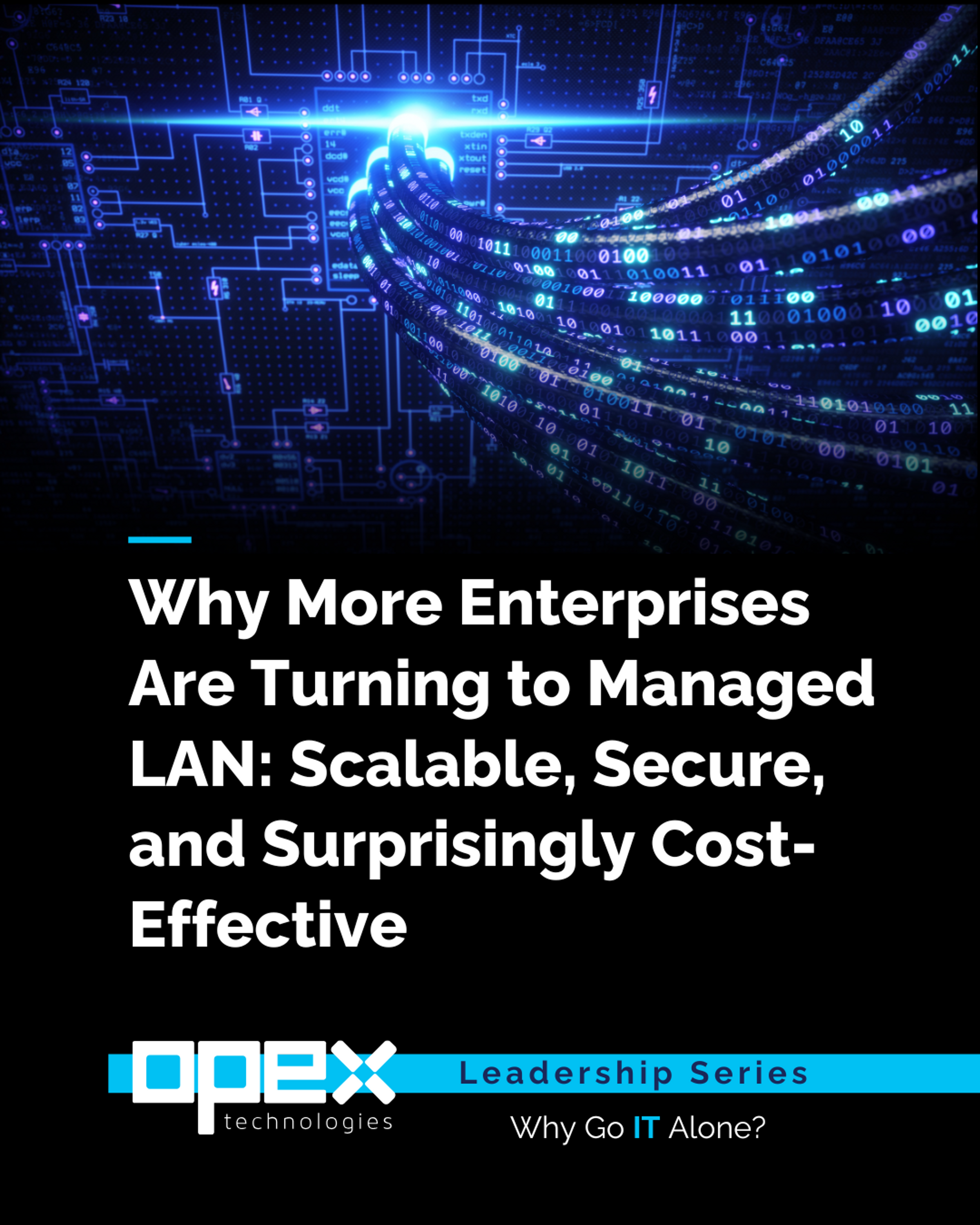 Why More Enterprises are Turning to Managed LAN: Scalable, Secure, and ...
