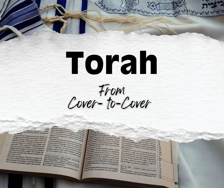 Torah: From Cover-to-Cover | Masa Seattle