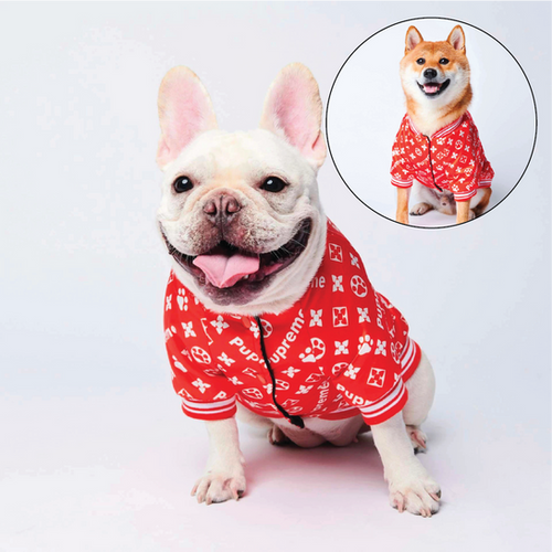 Boss Dog Doggie Bomber Jacket | Boss Dog Games