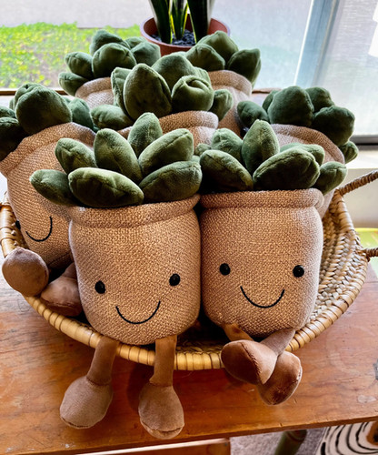 Plant Plush | Dust Gardens