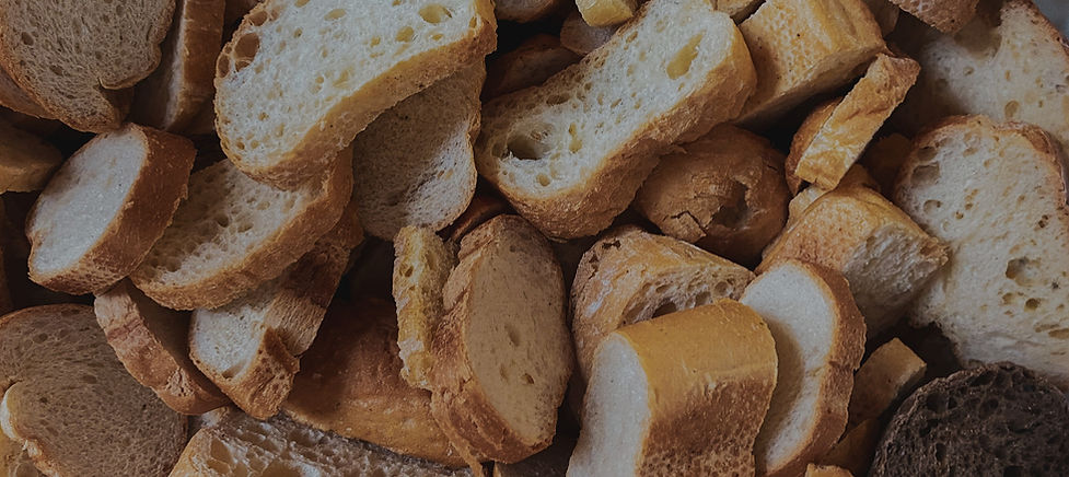 Food innovation against waste | BIOVA Project | Torino