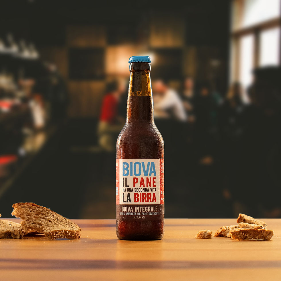 biova integrale bread beer x12 | Biova Project