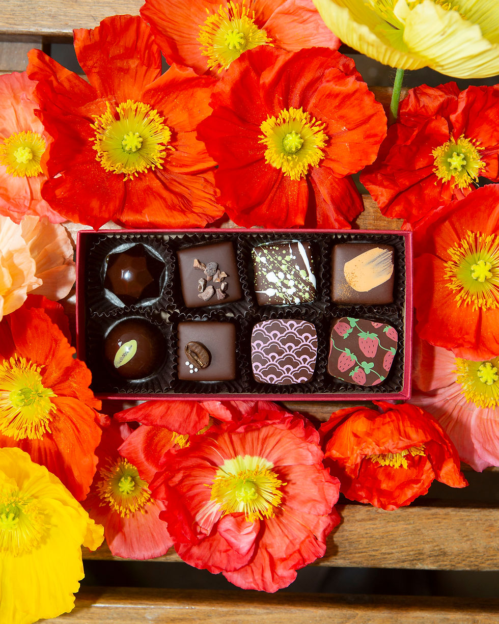 Home | Condor Chocolates