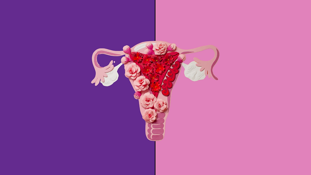 Handy Guide at your Cervix | Gals Bio