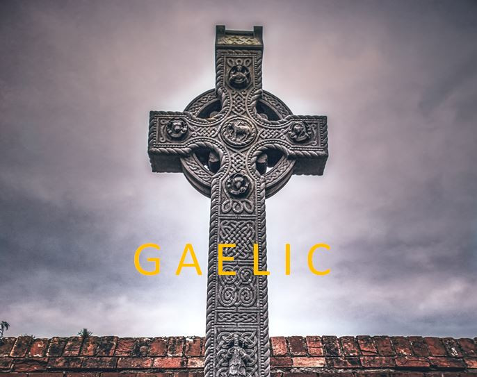 Speak Gaelic | Yakety Yak Language Cafe