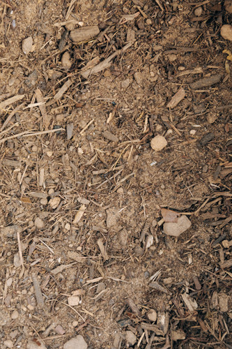 Bulk Texas Native Enriched Topsoil 1 C.Y. | texasnative