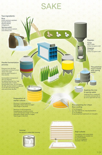 Sake making poster | illustrado.dk