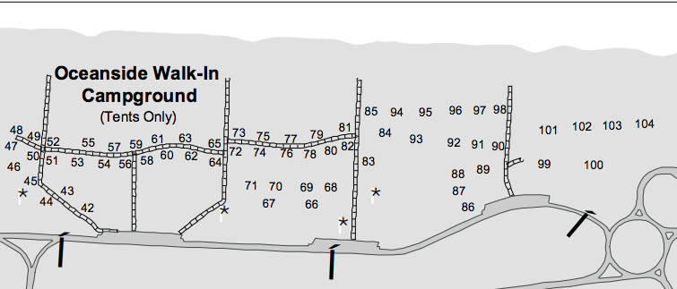 Complete Guide to Camping on Assateague Island - Reservation Tips, Best ...