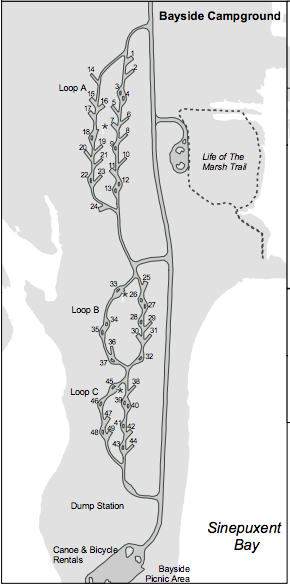 Complete Guide to Camping on Assateague Island - Reservation Tips, Best ...