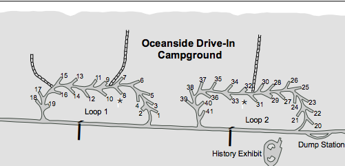 Complete Guide to Camping on Assateague Island - Reservation Tips, Best ...
