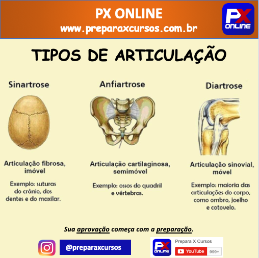 TIPOS DE ARTICULAÇÃO