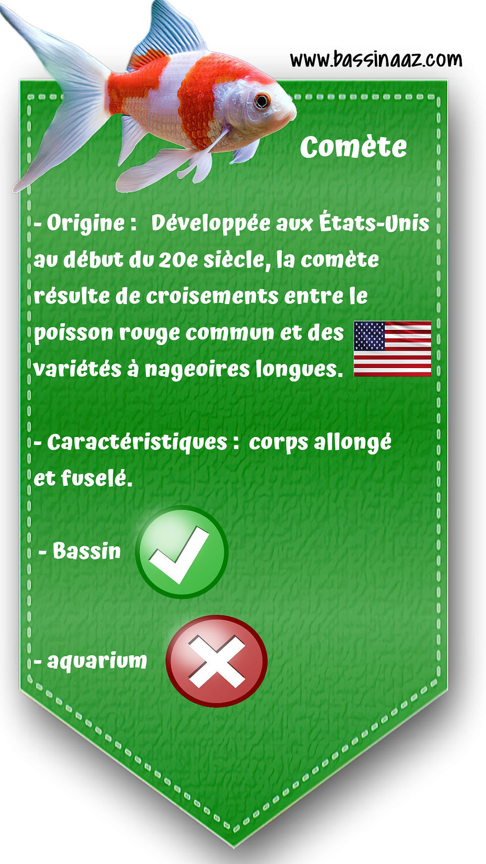 Guide du poisson rouge