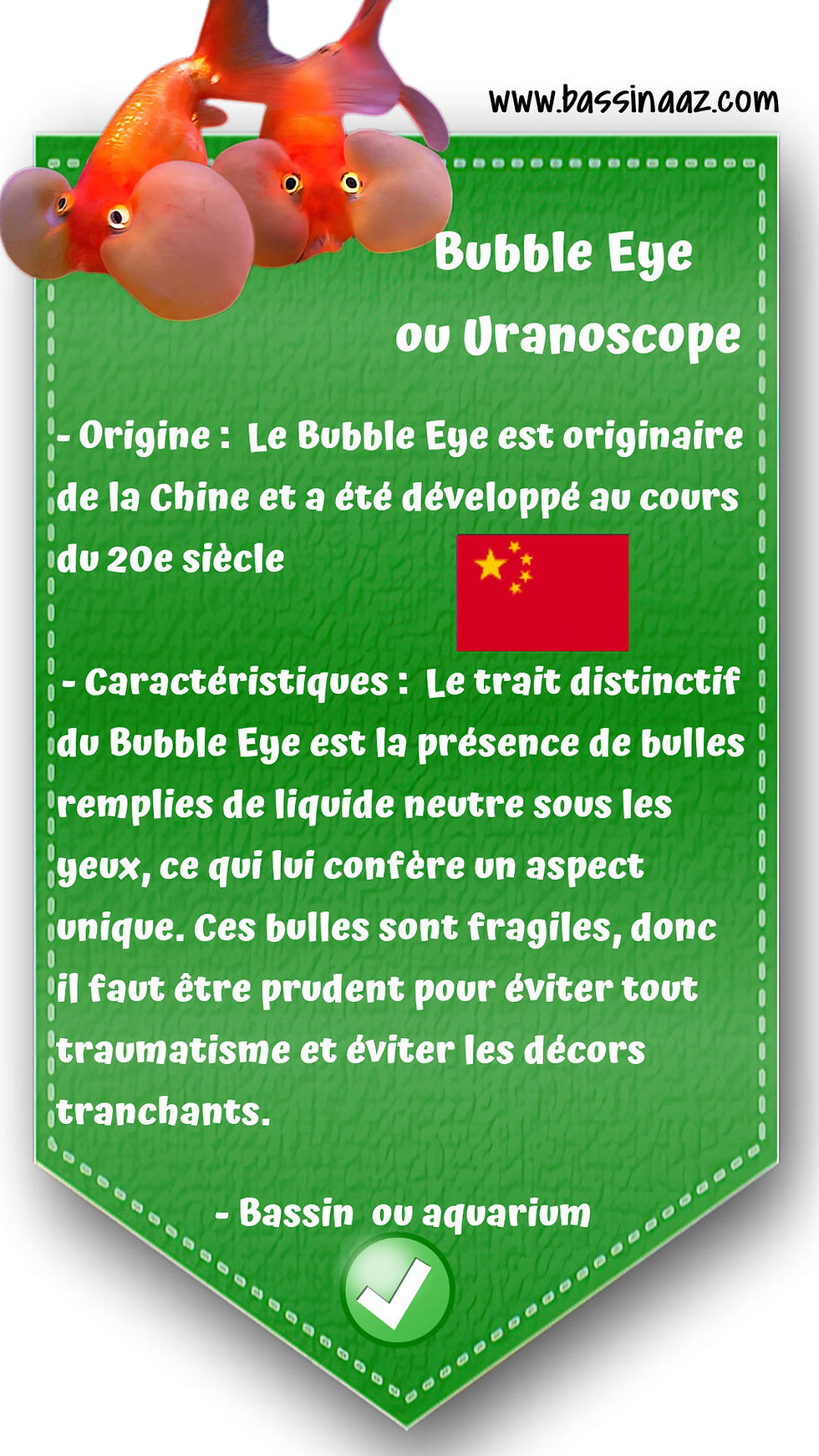 Guide du poisson rouge