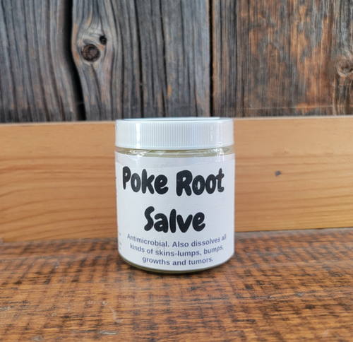 Poke Root Salve | HealingSpirits