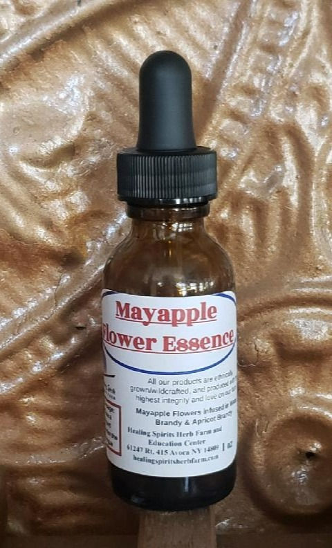 Flower Essences | HealingSpirits