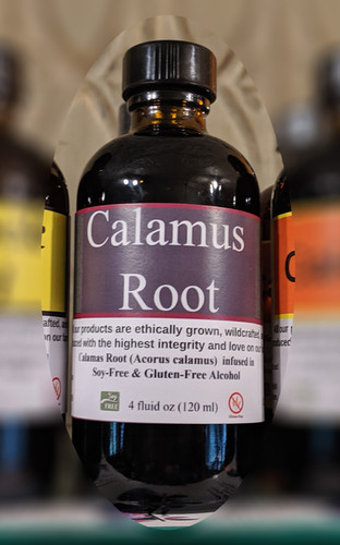 Calamus Root Tincture | HealingSpirits