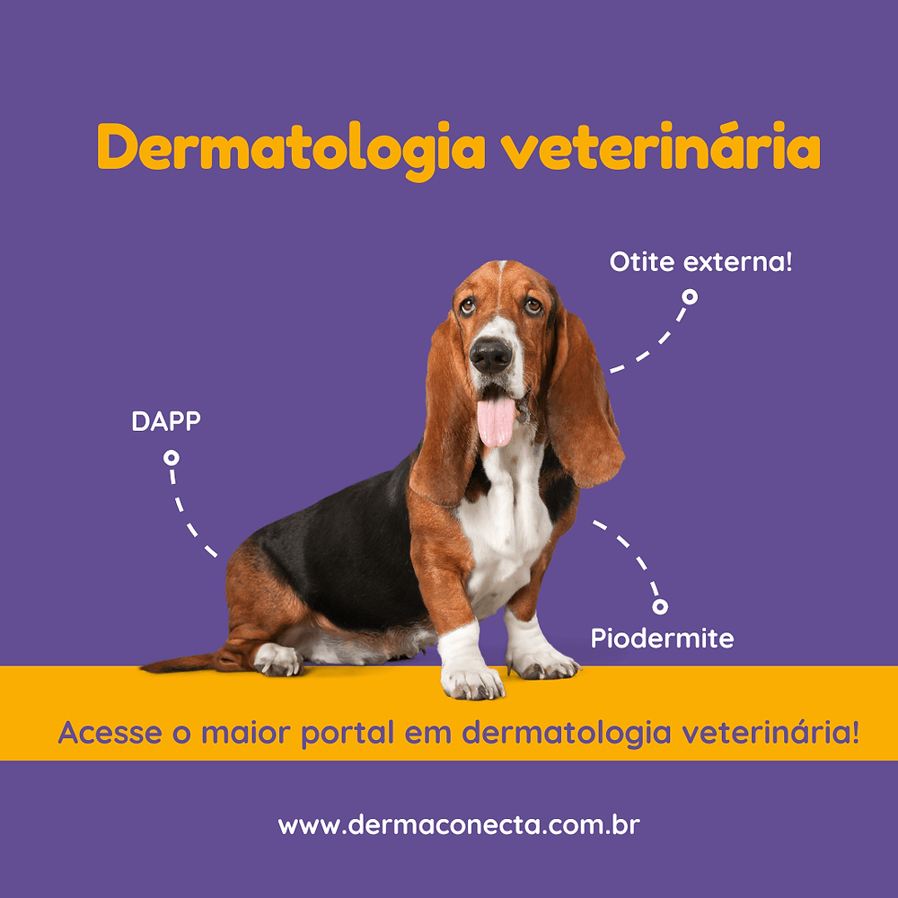 A importância da dermatologia veterinaria: artigos e notícias