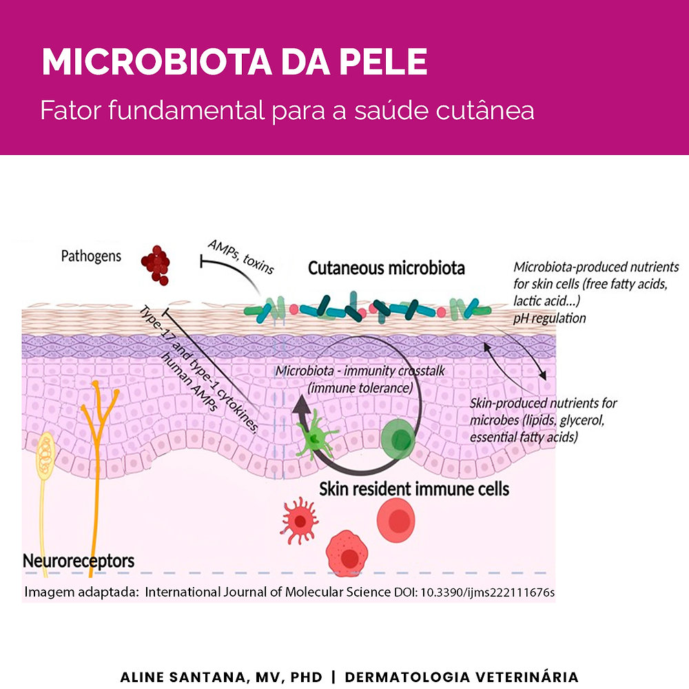 Microbiota da pele: fator fundamental para a saúde cutânea