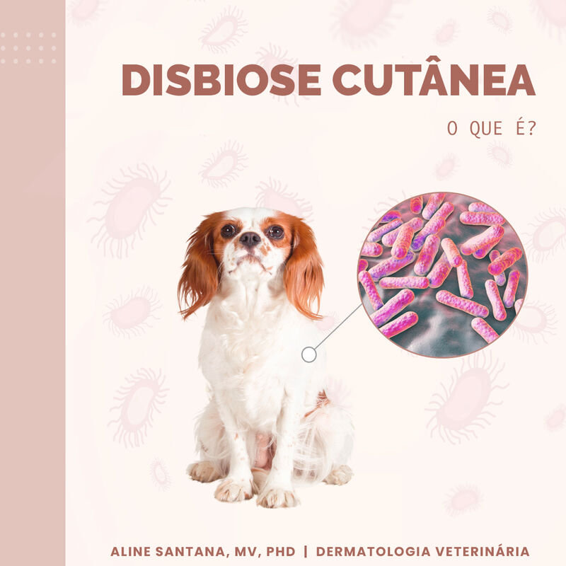 Disbiose Cutânea: Entenda o que é!