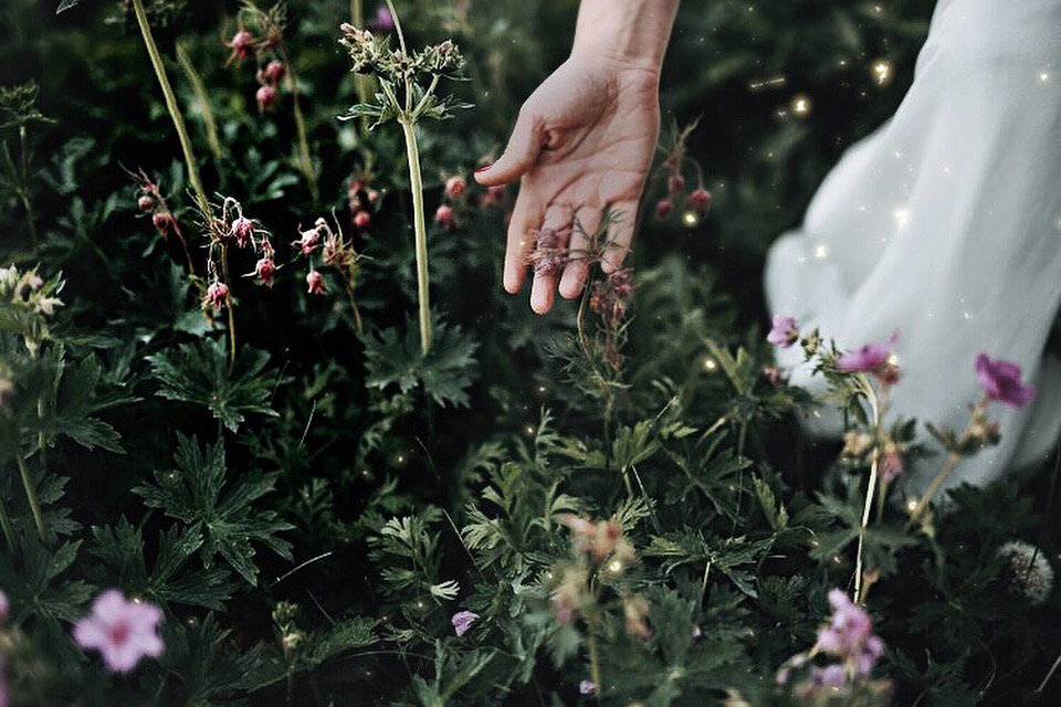 Self-Blooming: Thoughts on challenging your growth