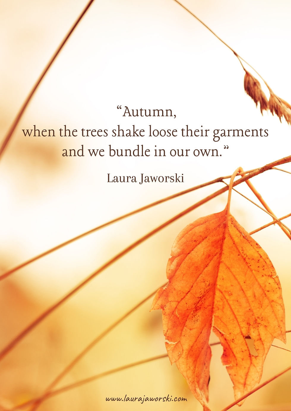 80+ Fall Quotes to Celebrate the Beauty of the Season 🍂