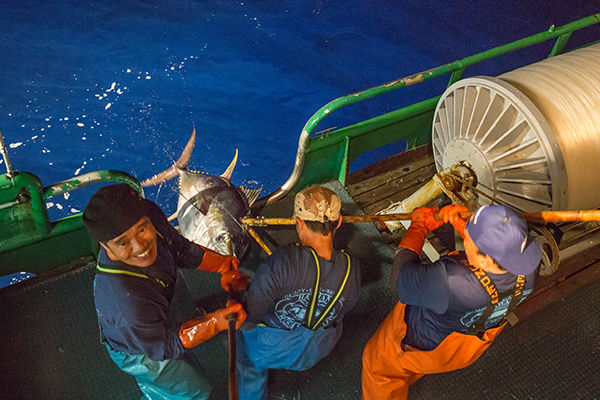 Life On A Hawaii Longline Fishing Vessel