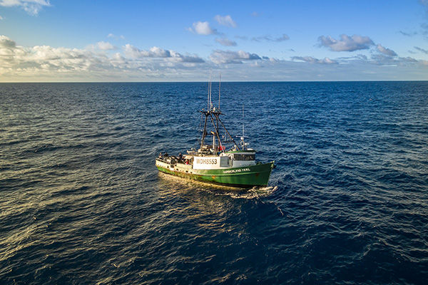 Life On A Hawaii Longline Fishing Vessel