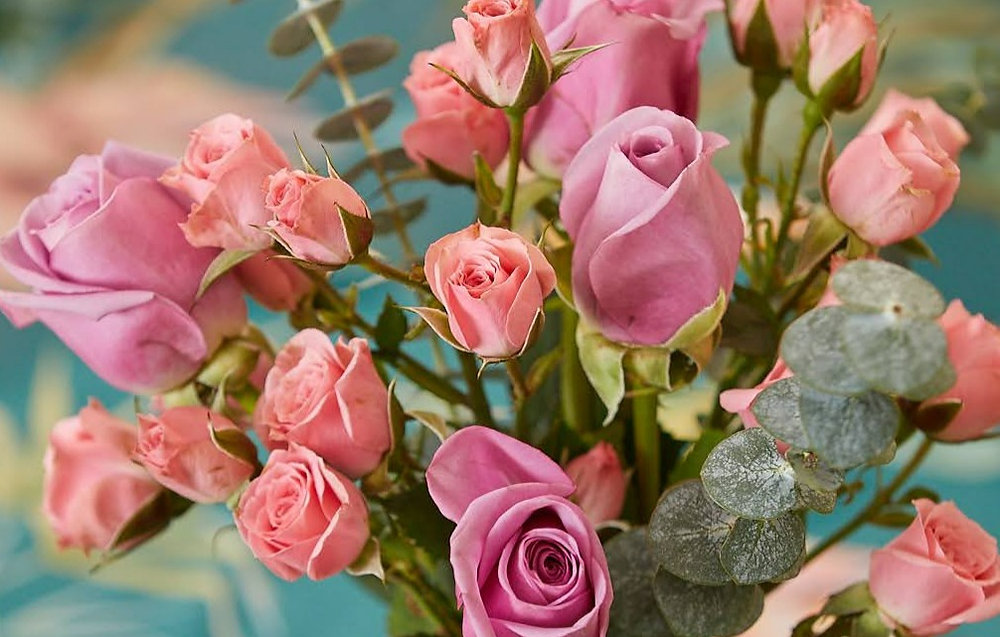 ABOUT OUR SPRAY ROSES