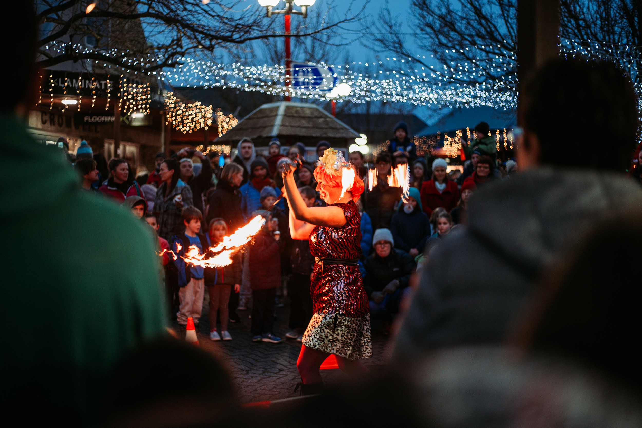 Light Up Winter | About