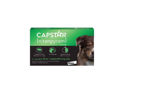 CAPSTAR LARGE DOG 6 DOSES ORAL | stfrancisanimalhelp