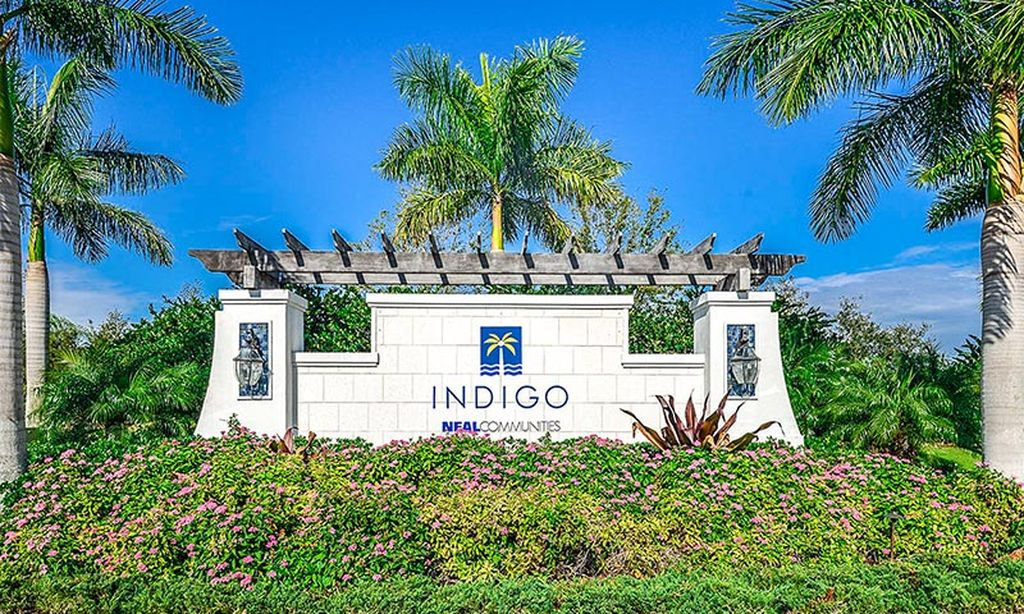 Indigo