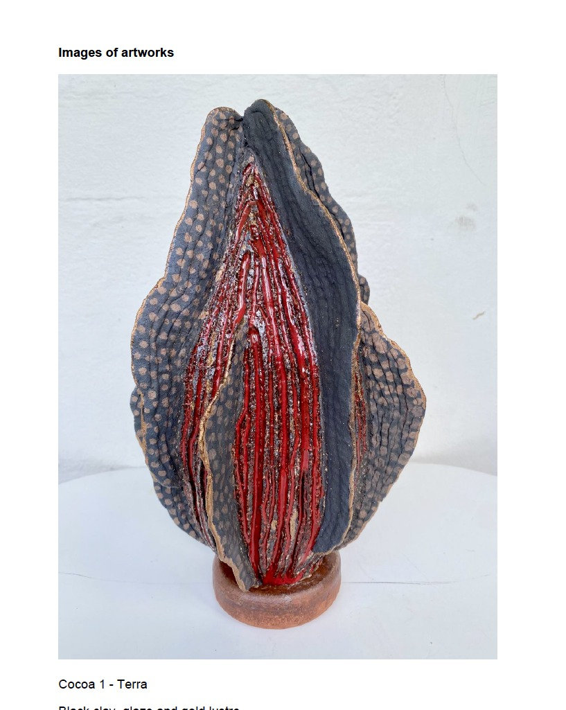 JASON LIM | TheAsianCocoaProject