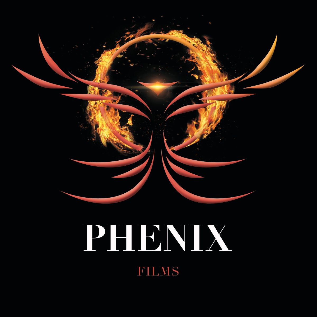 Phenix Films | Réalisation de vidéos évènementielles | France