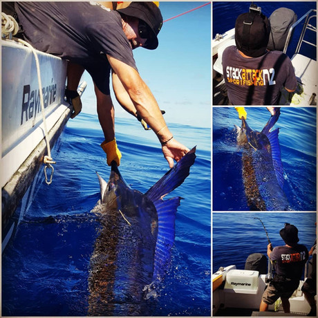 Big Game Charters | StackAttack Sports Fishing | Whitianga