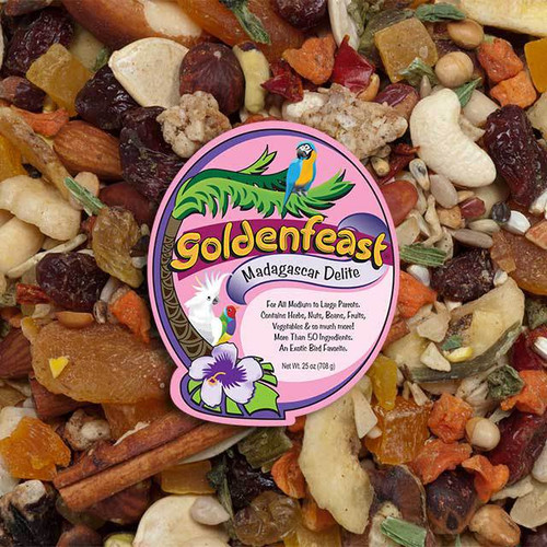 Madagascar Delight | Birds By Joe