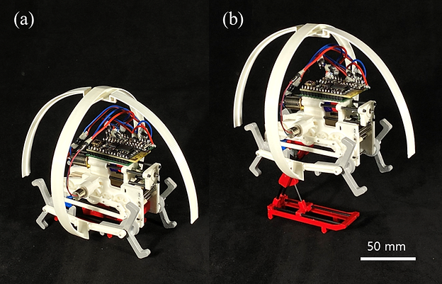 Bioinspired Robots | SNU Biorobotics Lab.