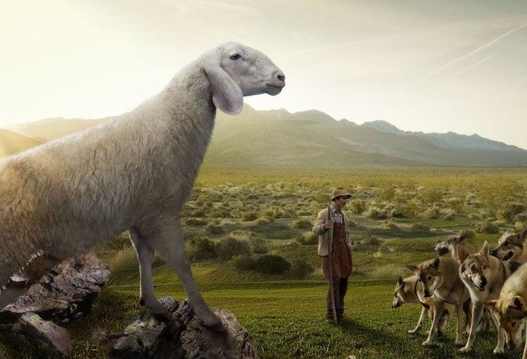 Behold, I Send You Forth as Sheep Among Wolves