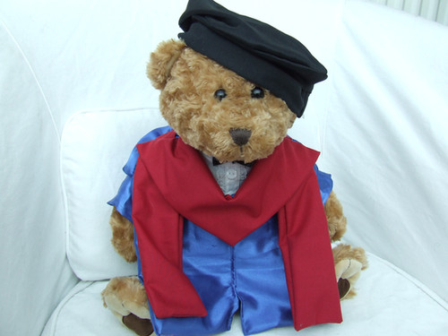 PHD GRADUTATION BEAR RED/BLUE | Cuddly Bear Wear