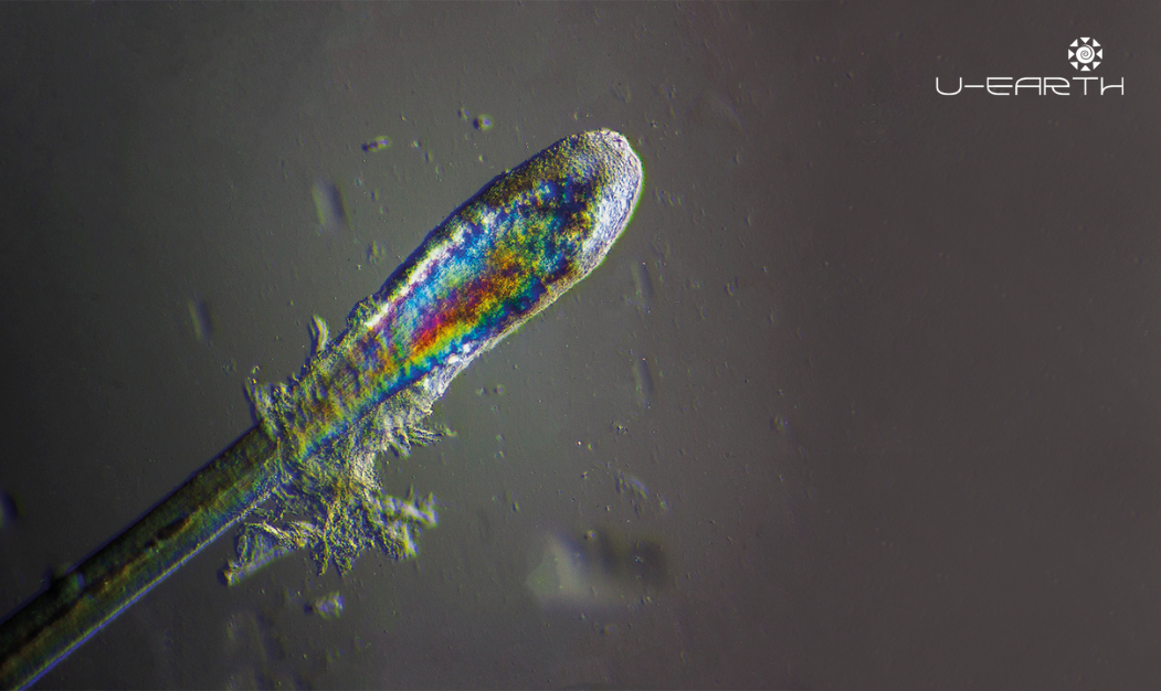 U-Earth BulbScan Test: Svela i segreti del tuo corpo