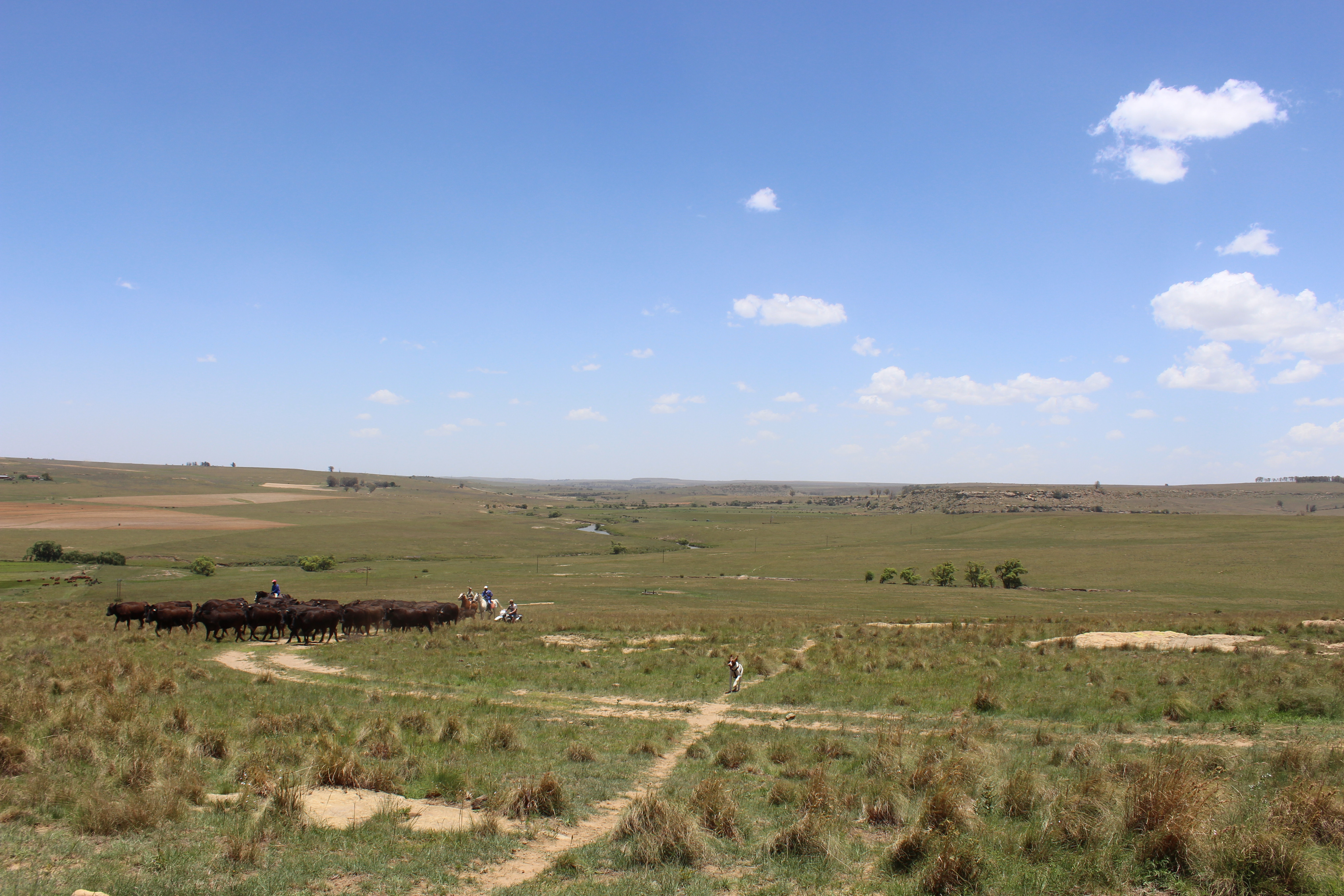 Klipfontein | louma