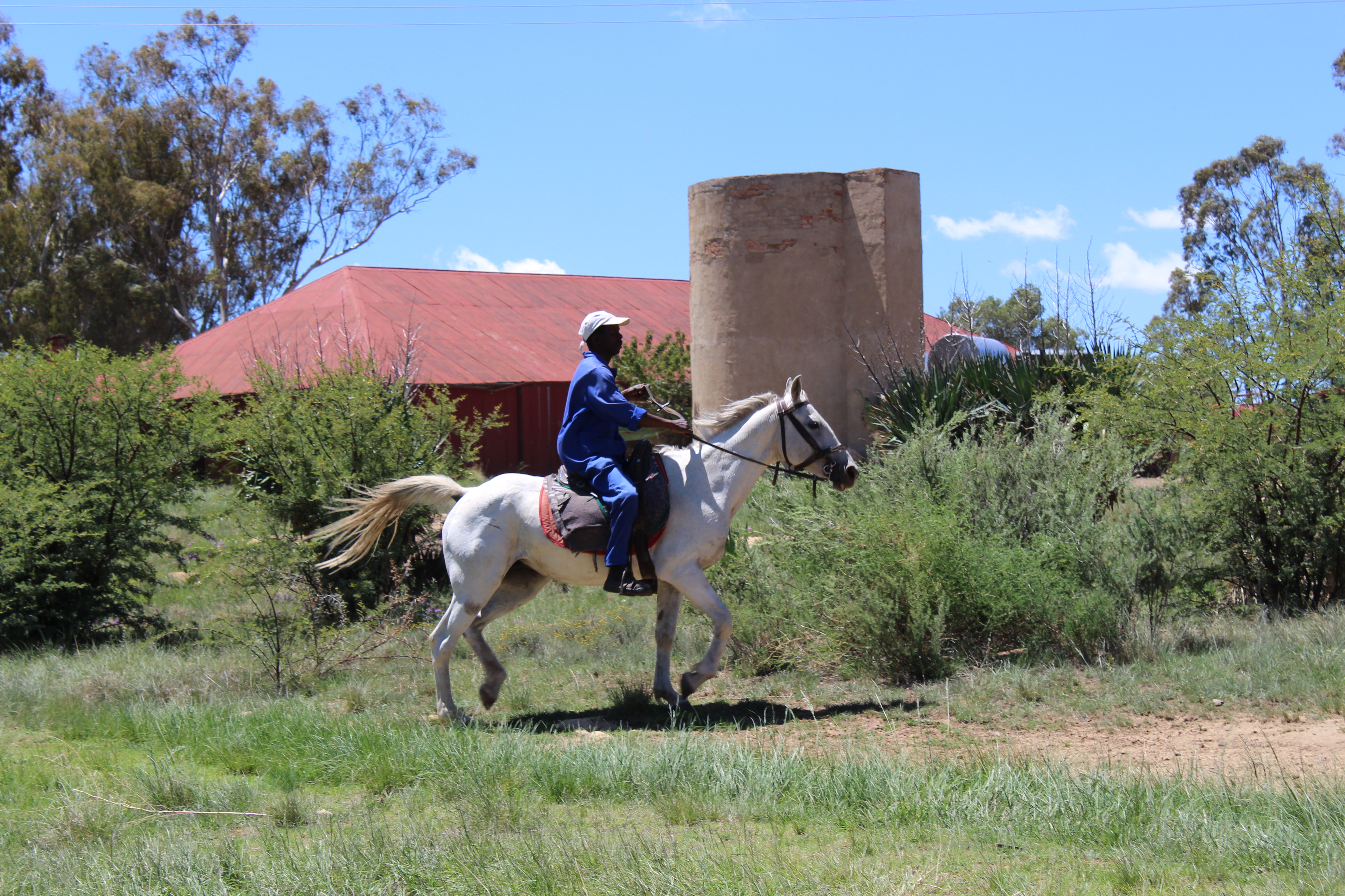 Klipfontein | louma