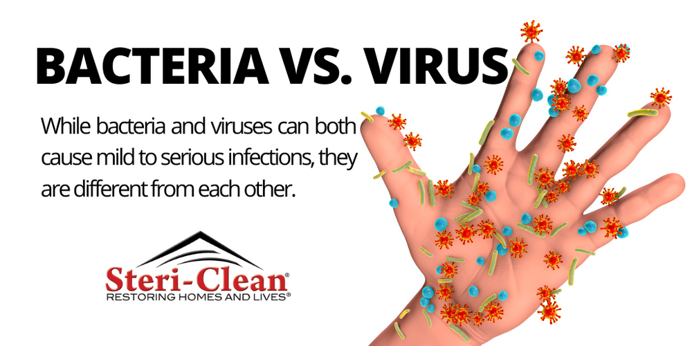 BACTERIA vs. VIRUSES - Do you know the difference?