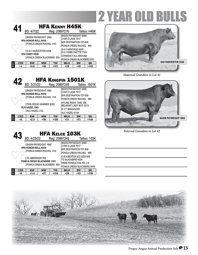 Catolog | Forgey Angus