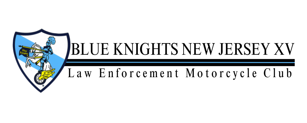 Blue Knight Logo